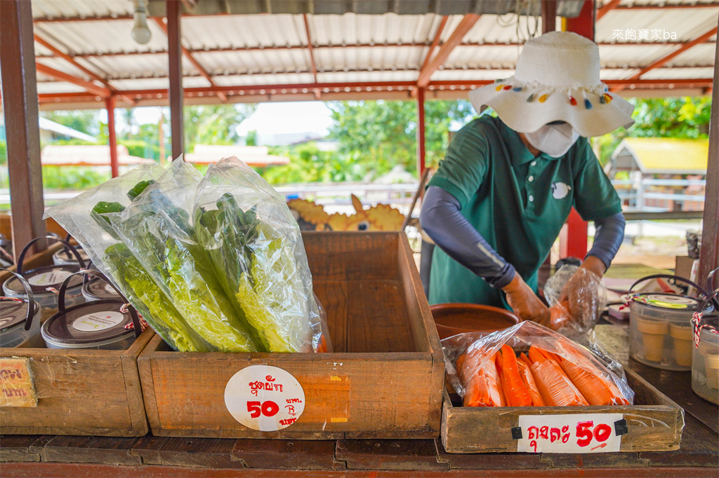 【芭達雅景點】Pattaya Sheep Farm 瑞士小綿羊農莊｜出乎意料好拍~動物、鳥秀、遊樂設施等親子景點推薦！ @來飽寶家ba